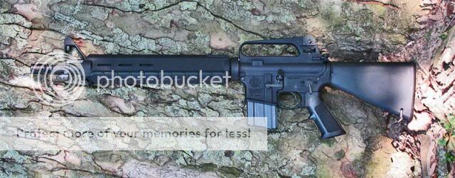 Colt Dissapator? | Colt Forum